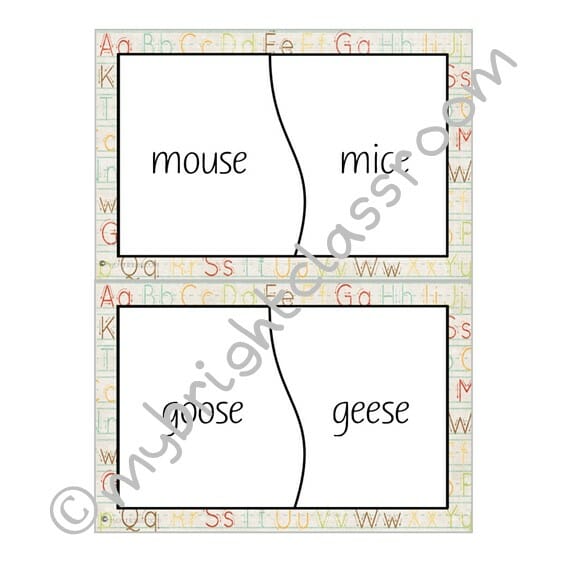 Irregular Plural Nouns Match up - Teacher Professional Development