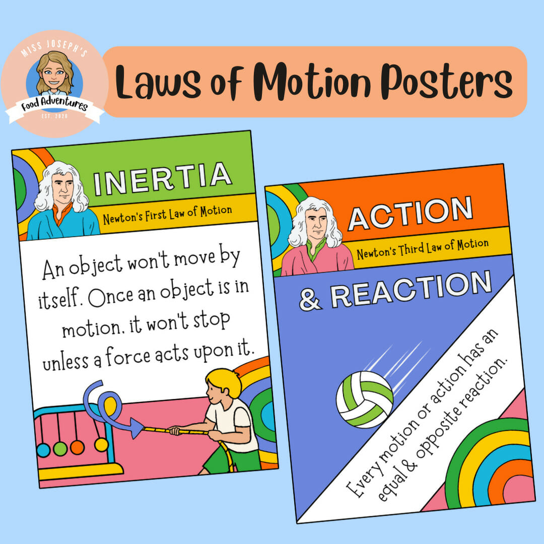 History of Preservation Poster Pack - Teacher Professional Development