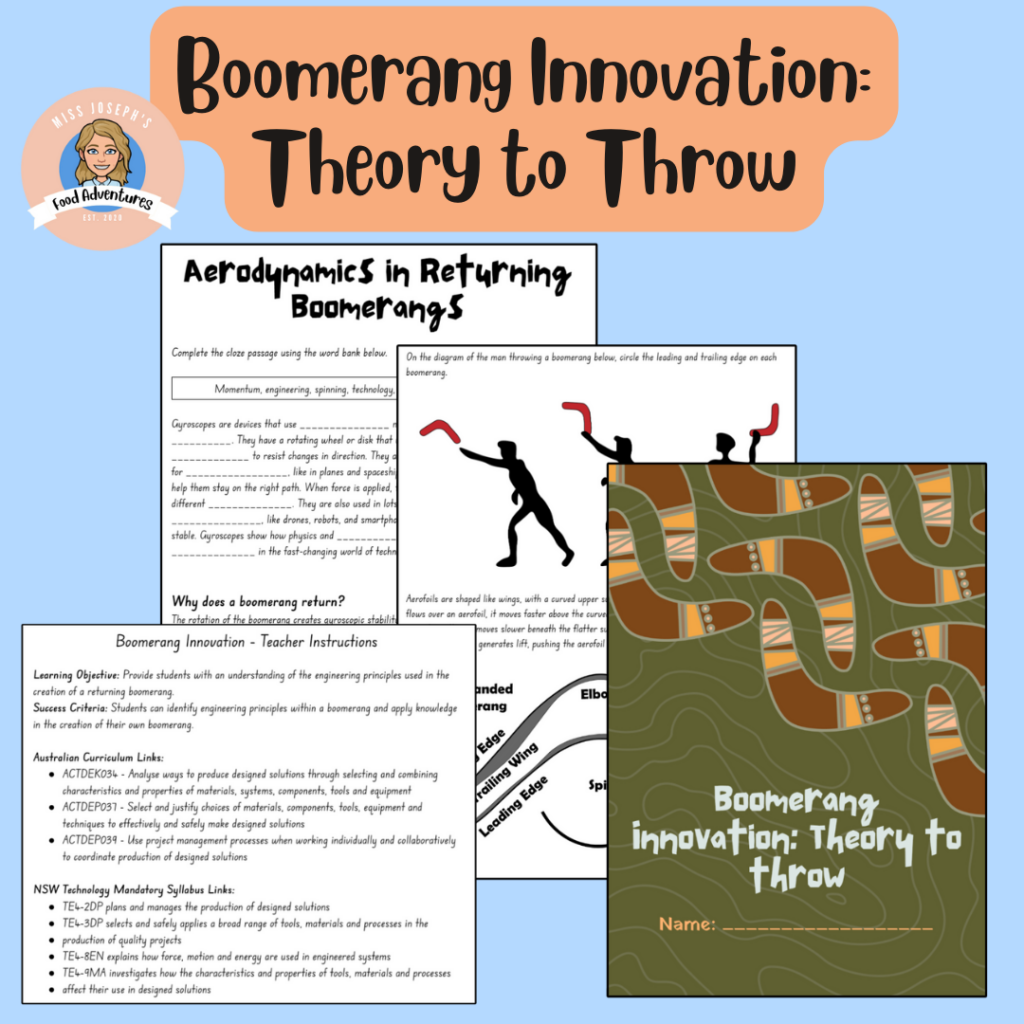 Boomerang Innovation: Theory to Throw - Teacher Professional Development