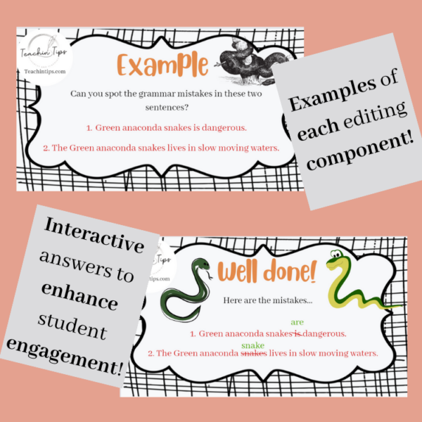 Editing Informational Texts - PowerPoint/Lesson - Teacher Professional ...