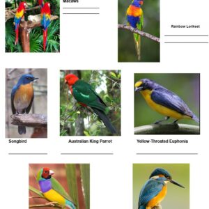 Year 6-8 Nominalisation | sh-tion, zh-sion - Teacher Professional ...