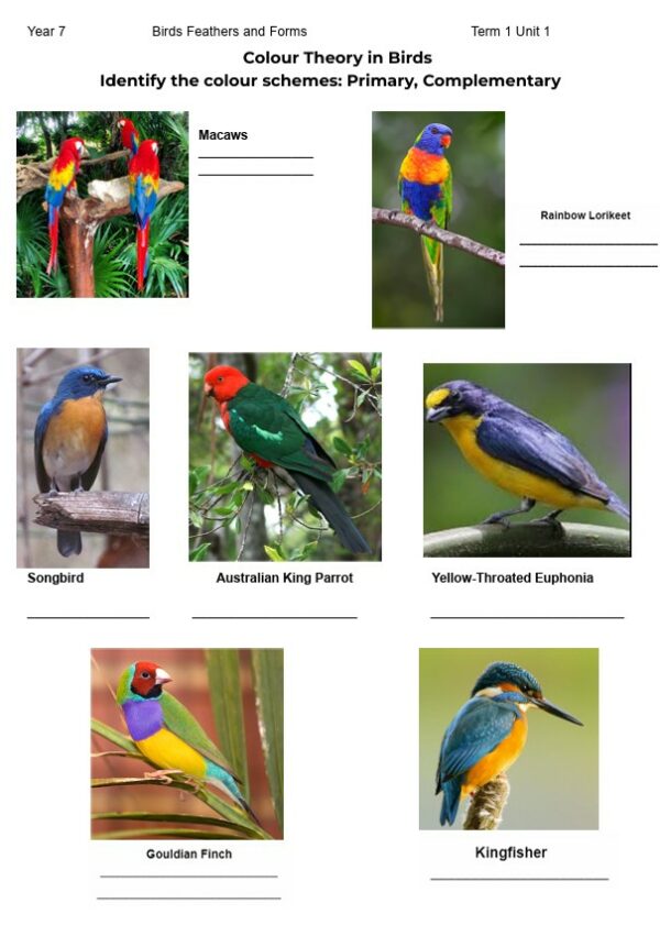 Visual Arts - Colour Theory: Primary, Complementary, Tertiary
