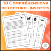 10 Compréhensions de lecture - Insectes/ French Reading Comprehension ...