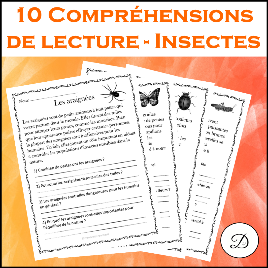 10 Compréhensions de lecture - Insectes/ French Reading Comprehension ...