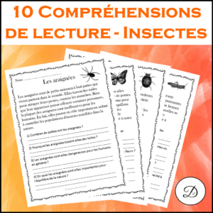 10 Compréhensions de lecture - Insectes/ French Reading Comprehension ...