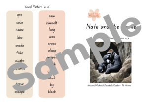 Decodable Text & Passage with Activities 'a_e' Long A Extended/Complex ...