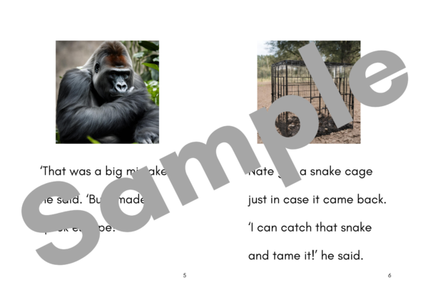 Decodable Text & Passage with Activities 'a_e' Long A Extended/Complex ...