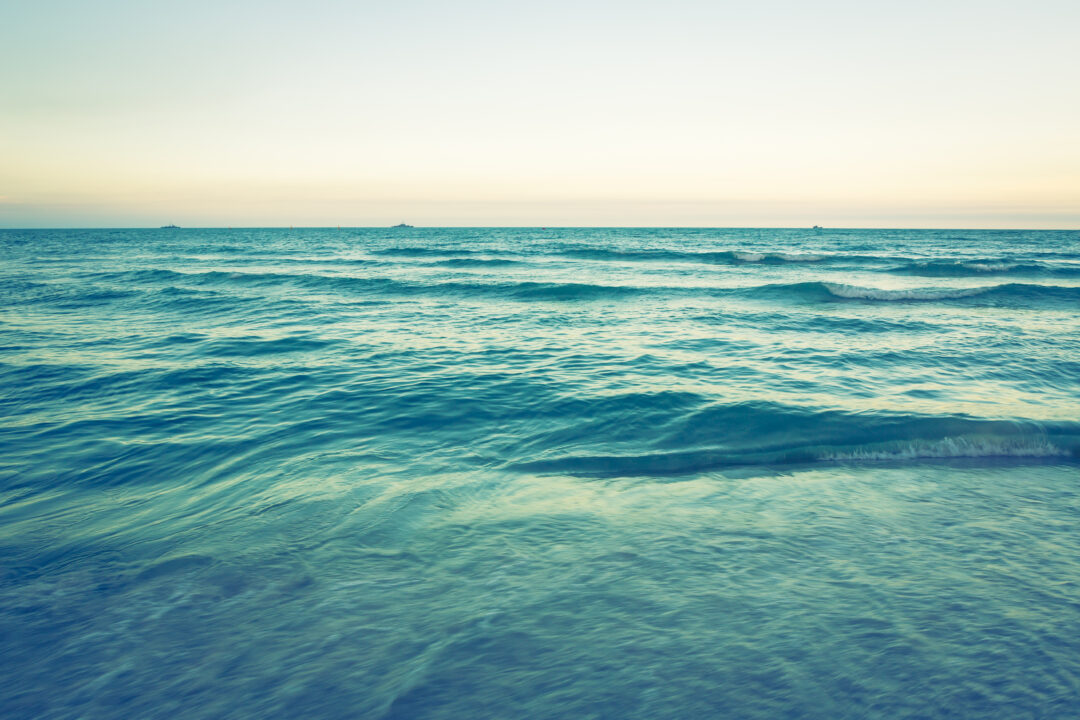 Top 40 Incredible Ocean Facts For Kids Must Know - Teacher Professional ...