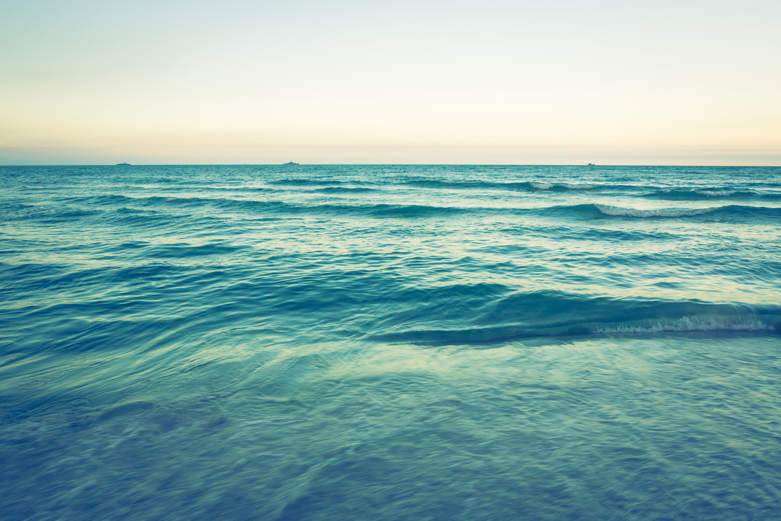 Top 40 Incredible Ocean Facts For Kids Must Know - Teacher Professional ...