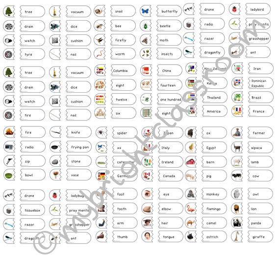 Themed Vocabulary Boardgames - Teacher Professional Development