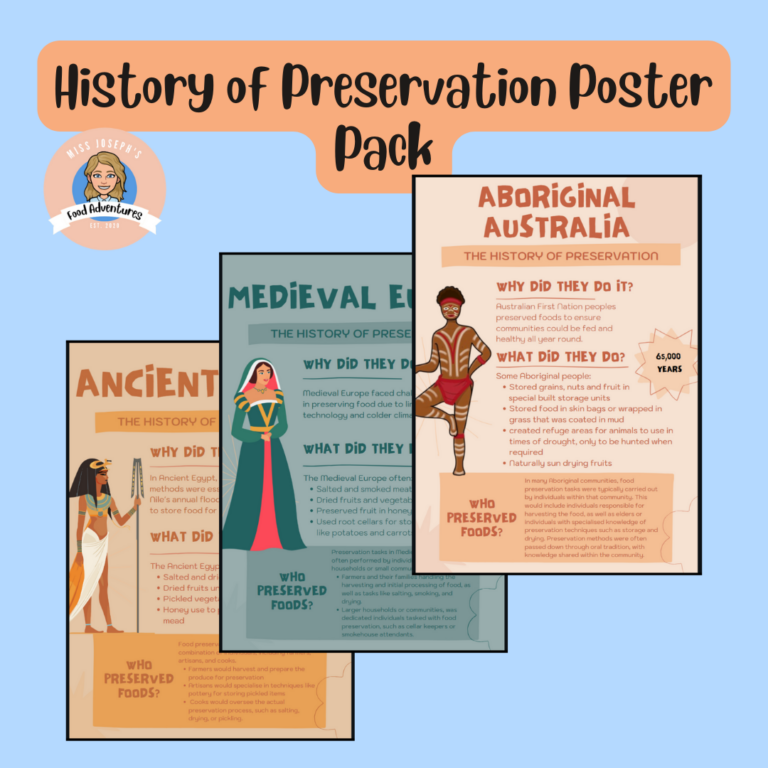 History of Preservation Poster Pack - Teacher Professional Development