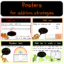 Addition Strategy Posters - Teacher Professional Development