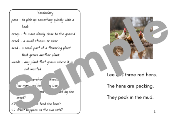 Decodable 'ee' Reading, Spelling & Writing Activities Long E Vowel ...