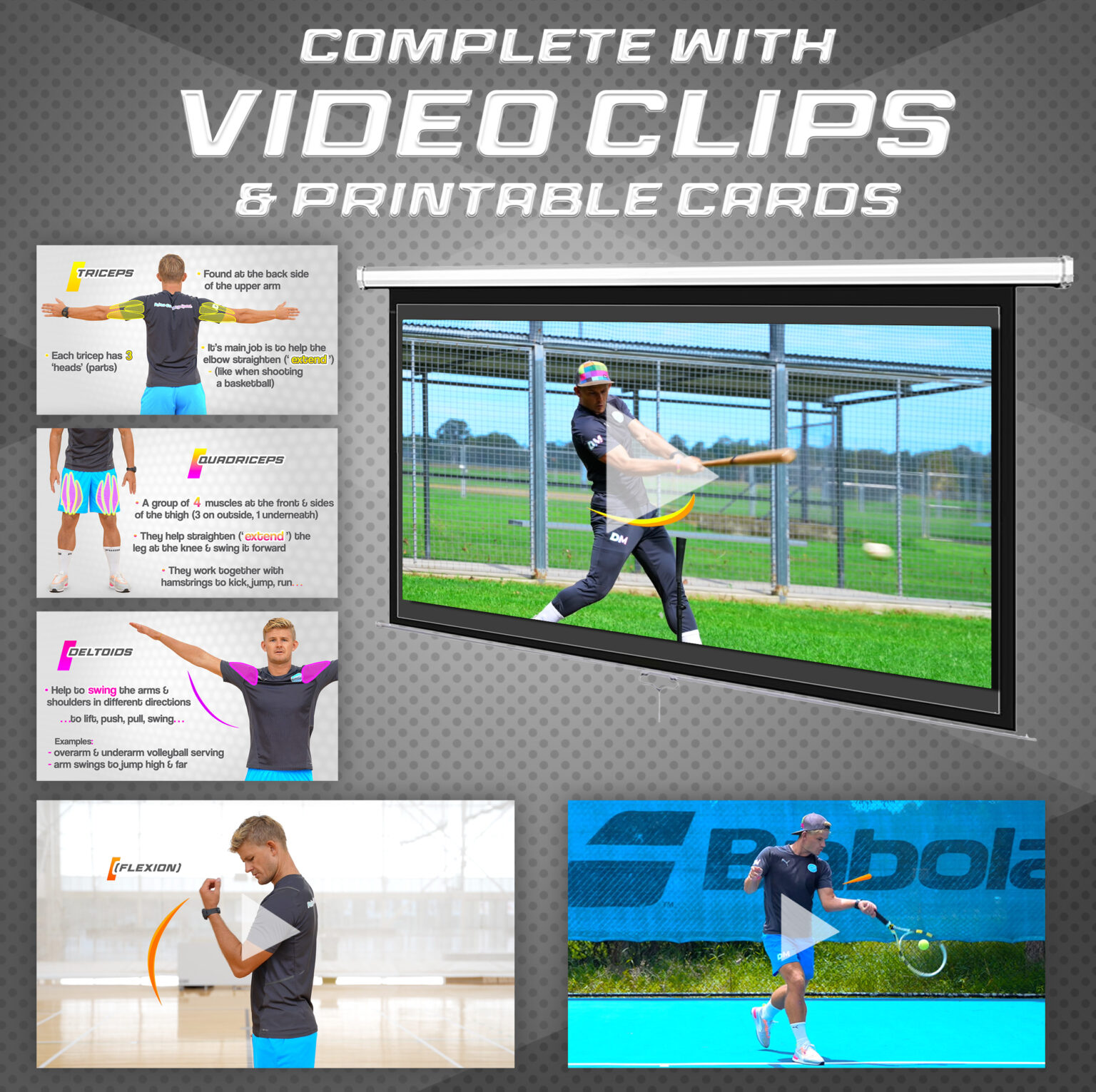 Learn the muscles in sports (for PE) - slides with videos + printable ...