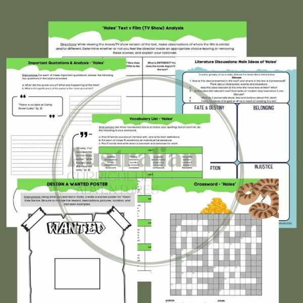 Holes Novel Study & Student Booklet - Printables - Unit - Chapter ...
