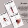 Fashion Design Poster Bundle - Teacher Professional Development