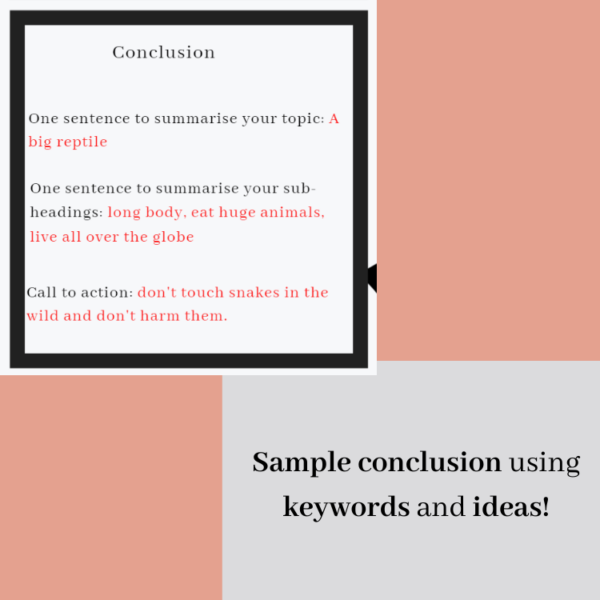 Informational Writing Sample Plan | Factual Texts Sample Plan ...