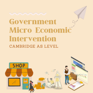 Government Microeconomic Intervention (Cambridge AS Level) - Teacher ...