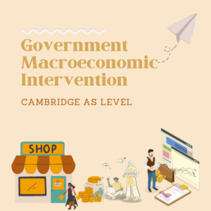 Government Microeconomic Intervention (Cambridge AS Level) - Teacher ...