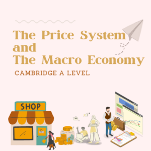 Government Microeconomic Intervention (Cambridge AS Level) - Teacher ...