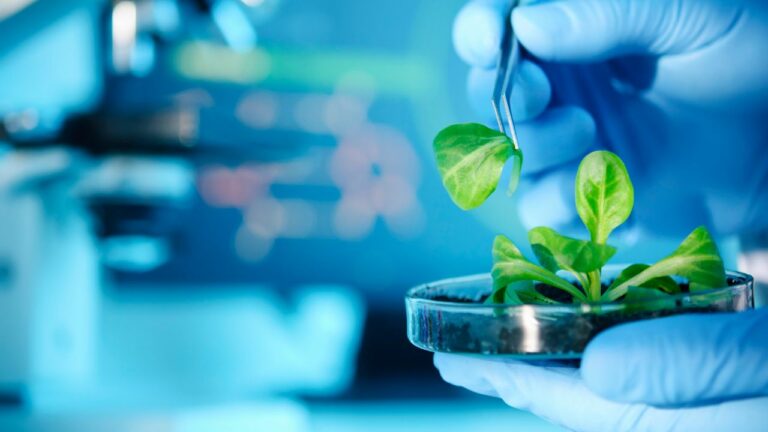 Role of Biotechnology in Modern Food Trends: A Clear Overview - Teacher ...