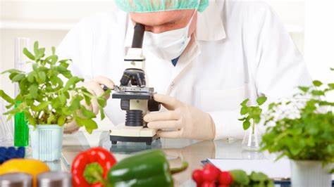 Role of Biotechnology in Modern Food Trends: A Clear Overview - Teacher ...
