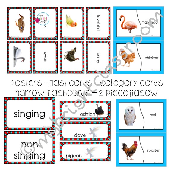 Bird Vocabulary - Identifying types of birds - Teacher Professional ...