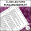 Compréhension de lecture - Madame Bovary / French Reading Comprehension ...