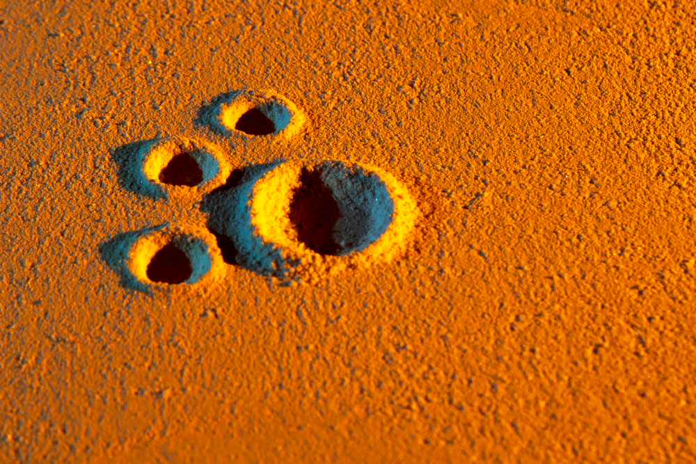 Footprint Australian Native Animal Tracks: An Educational Guide ...