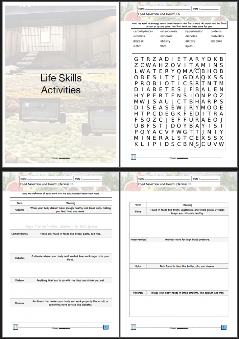 Food Technology Emergency Lesson - Food Selection and Health - Teacher ...