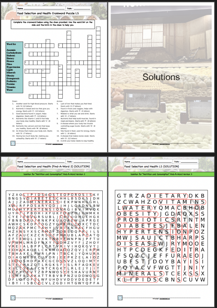 Food Technology Emergency Lesson - Food Selection and Health - Teacher ...