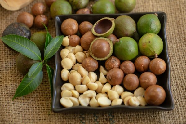 All About Australian Nuts: Health Benefits, Varieties, and Fun Facts ...