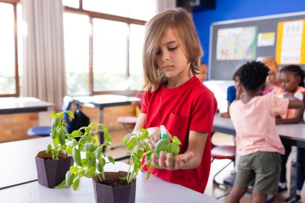 12 World Environment Day Activities to Engage Students in 2025 ...