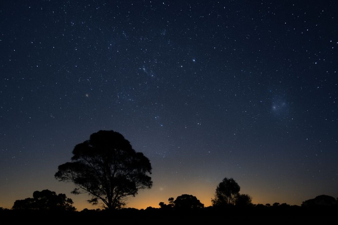 Southern Hemisphere Constellations You Can See from Australia - Teacher ...