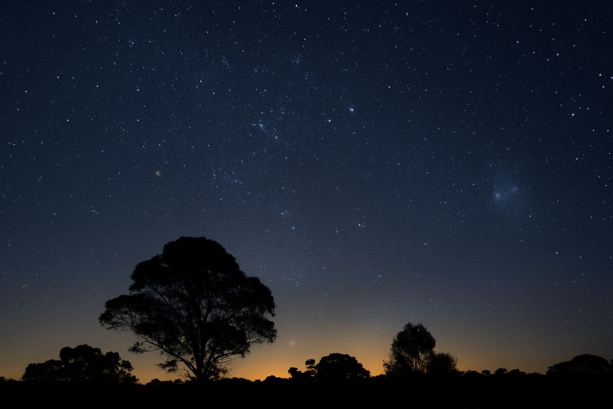 Southern Hemisphere Constellations You Can See from Australia - Teacher ...